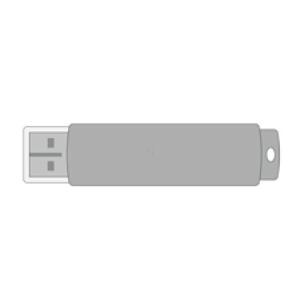 RATIONAL USB-Stick für Garprogramme/HACCP-Daten ab 09/2016 | Gastrodax®